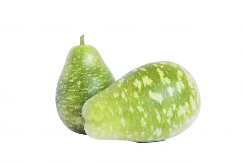 Products | Agro San Carlos