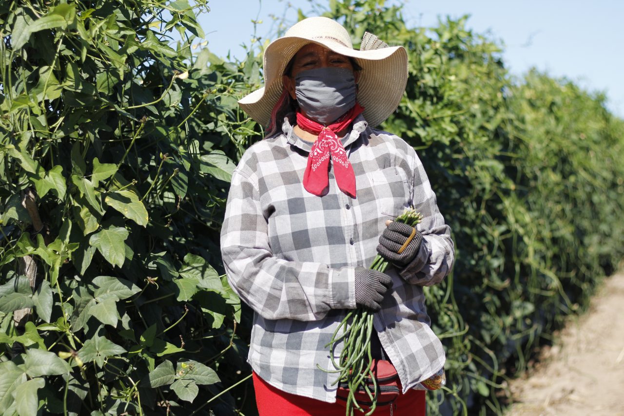 Products | Agro San Carlos