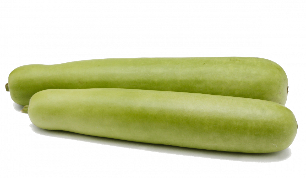 Products | Agro San Carlos