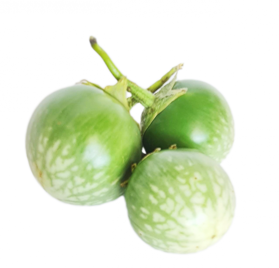 Products | Agro San Carlos