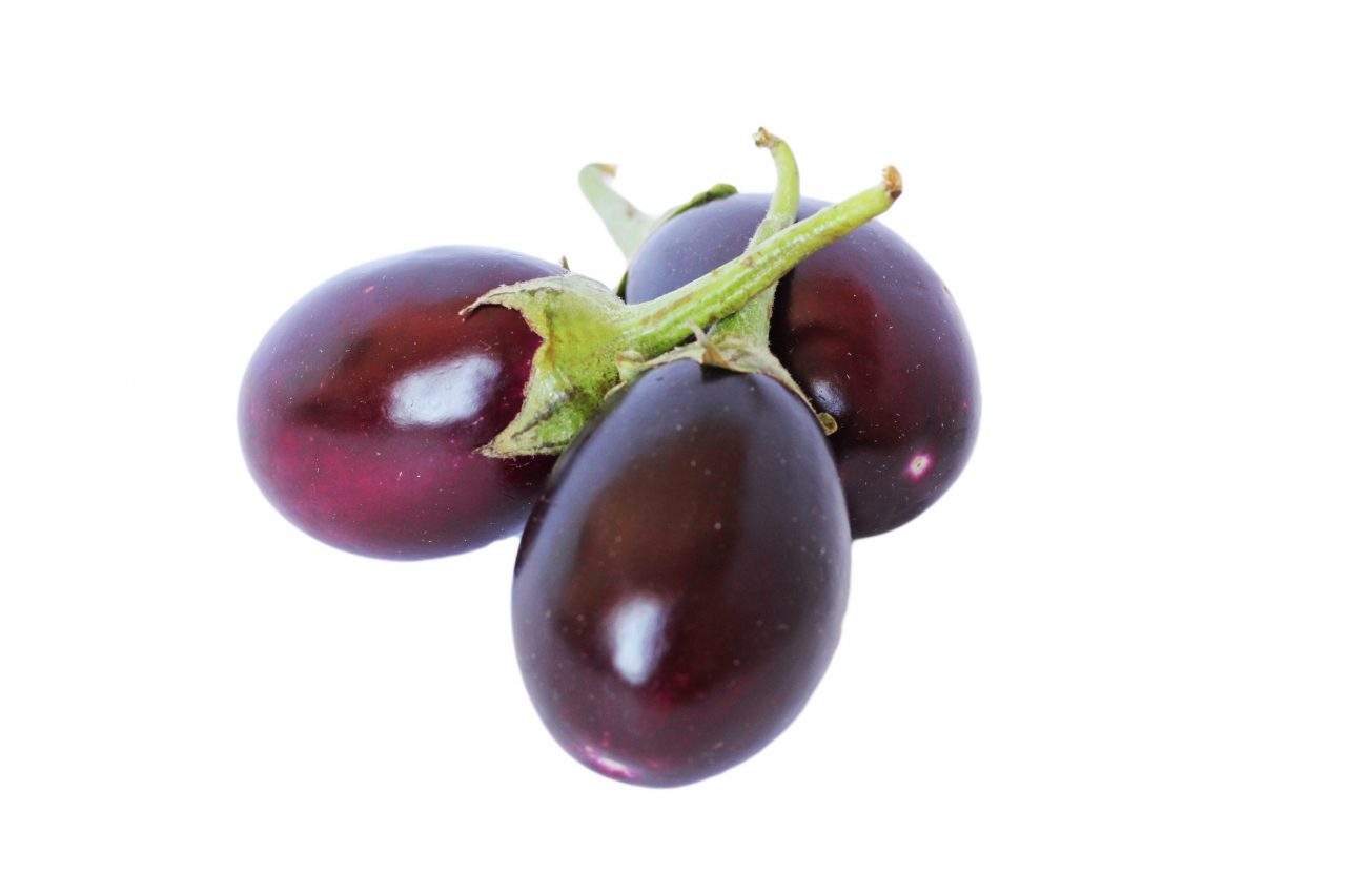 Products | Agro San Carlos