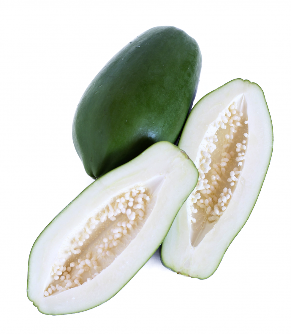 Products | Agro San Carlos