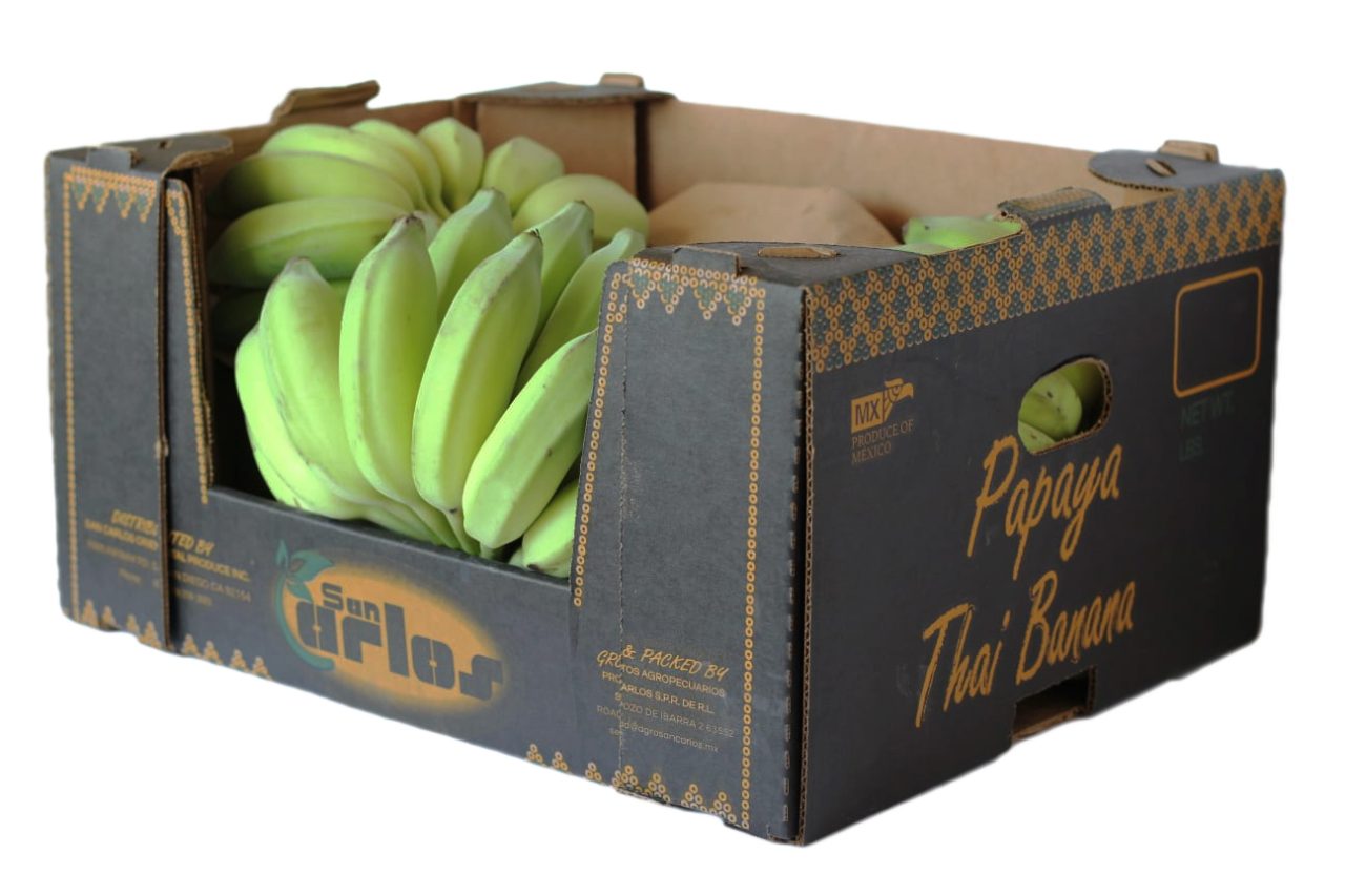 Products | Agro San Carlos