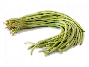 Products | Agro San Carlos